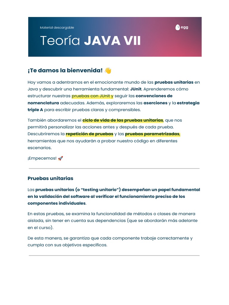 Teoria Java 7 - Testing | PDF