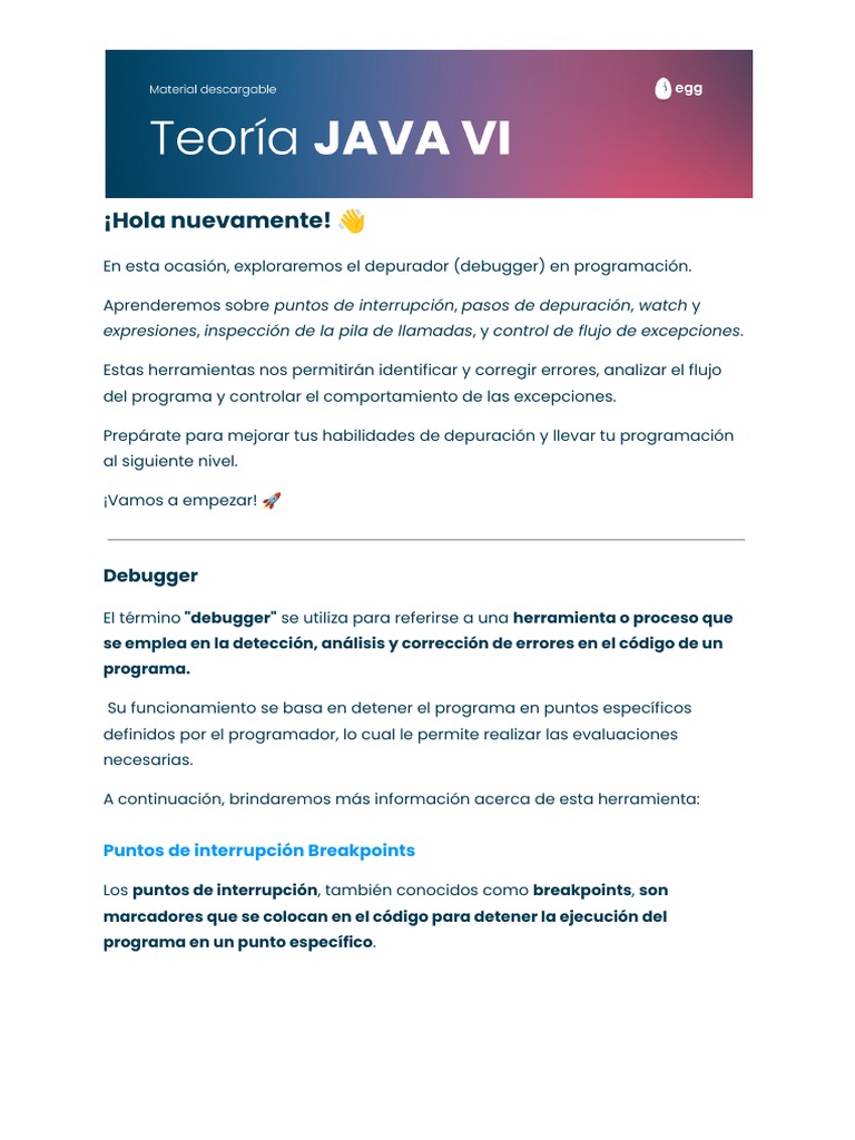 Teoria Java 6 - Debugger | PDF | Programa de computadora | Programación