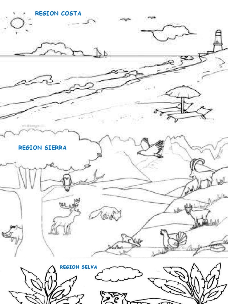 Dibujos de las regiones del Perú | PDF