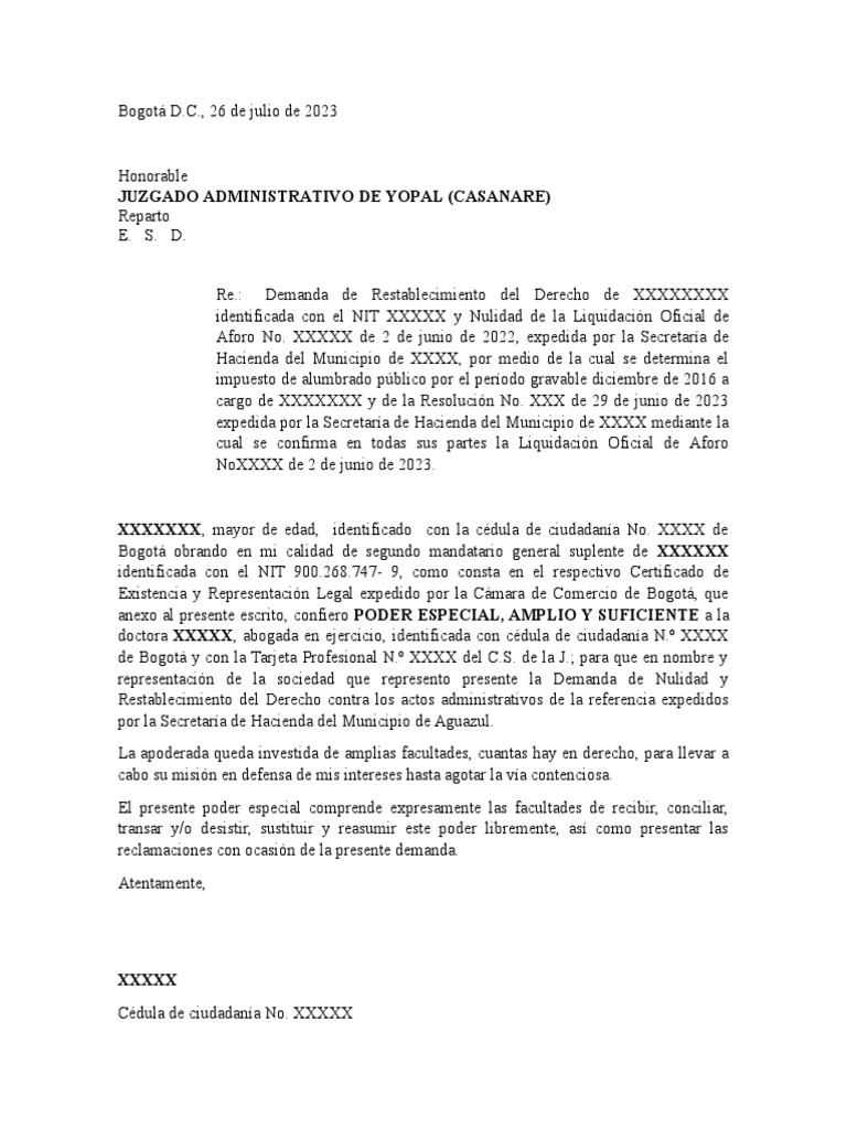 Modelo Poder Demanda Nulidad y Restablecimiento | PDF