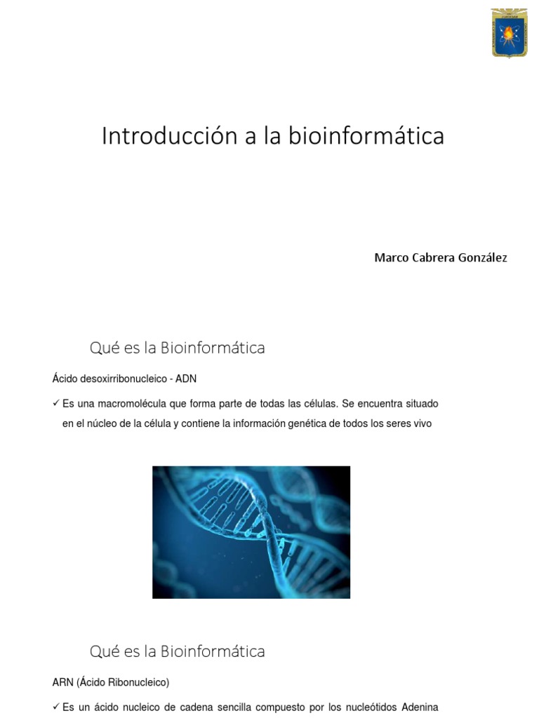 Teoria 1 Introducción A La Bioinformatica | PDF | Adn | Rna