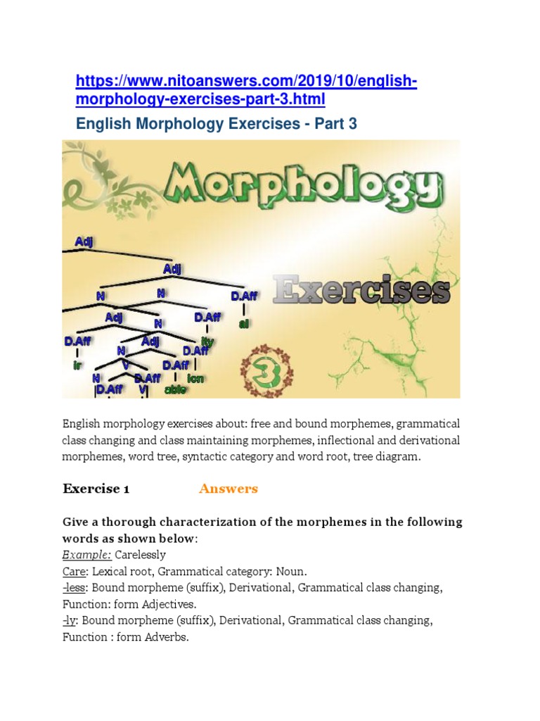 English Morphology Exercises Part 3 | PDF | Word | Morphology (Linguistics)
