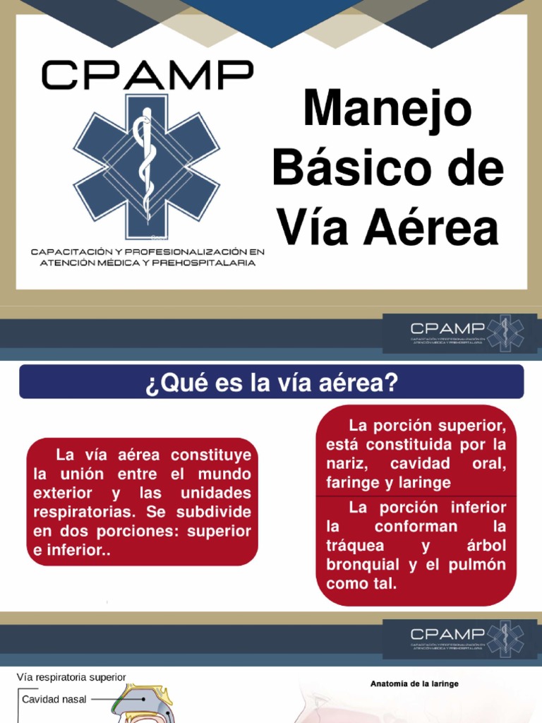 Manejo Básico de La Vía Aérea | PDF