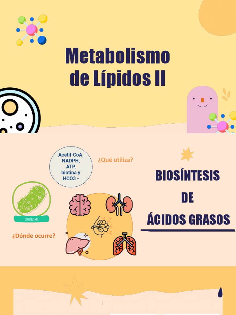 Metabolismo de Lípidos | PDF | Biosíntesis | Ácido graso