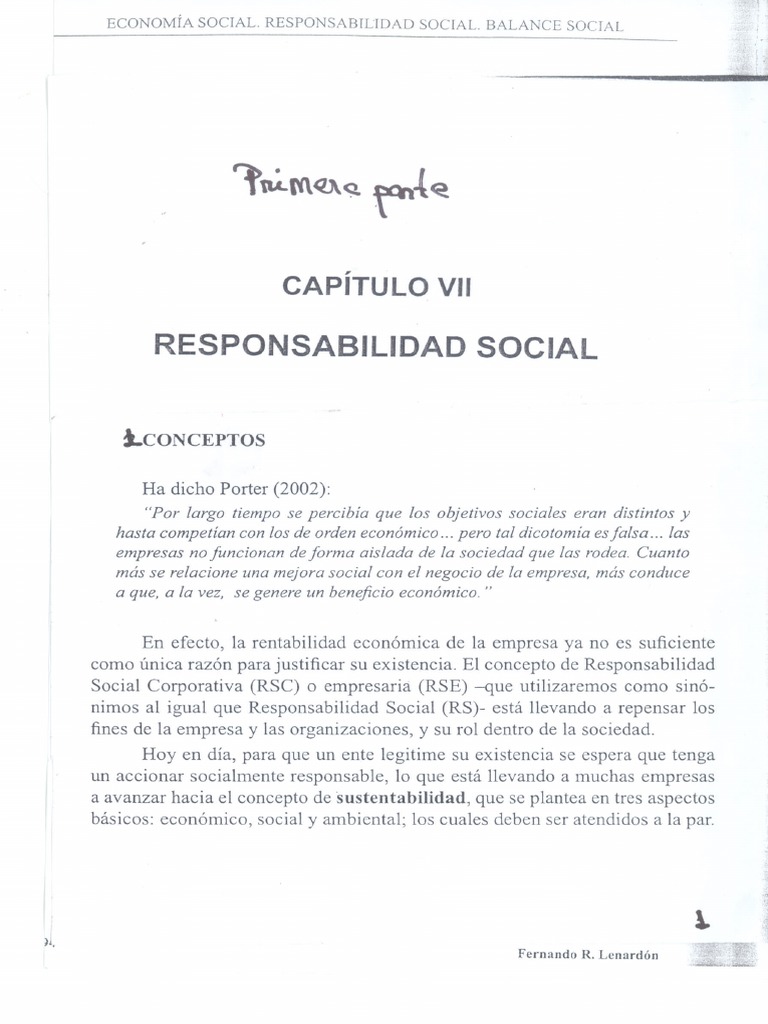 Rse y Desafios | PDF