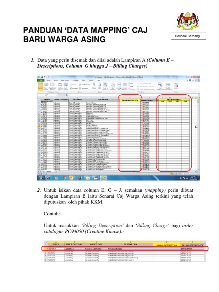 Panduan Data Mapping Caj Baru Warga Asing | PDF
