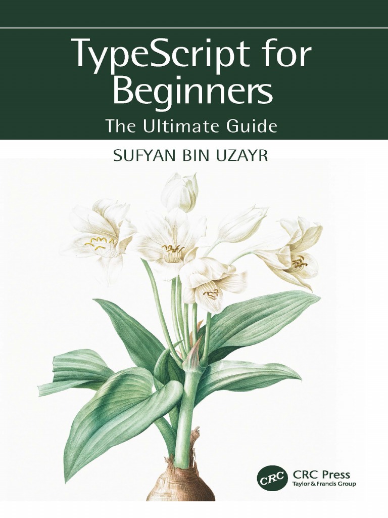 Typescript For Beginners The Ultimate Guide Sufyan Bin Uzayr Pdf Class Computer 4003