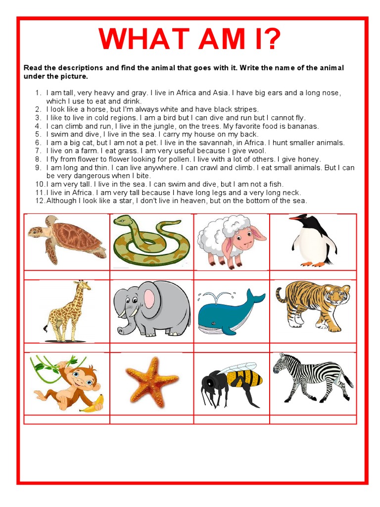 Animals What Am I Reading Comprehension Exercises - 134628 | PDF | Travel