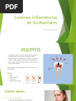 Anemia Oms | PDF | Anemia | Glóbulo rojo