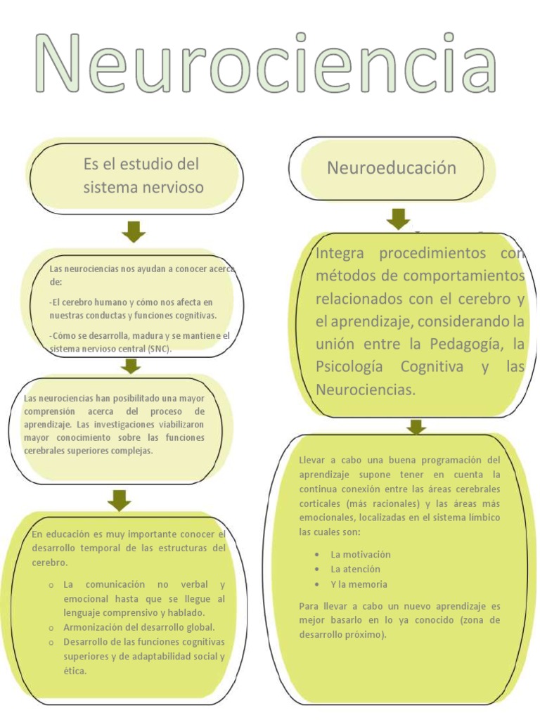 Mapa Conceptual Neurociencia | PDF Mapa Conceptual Neurociencia | PDF