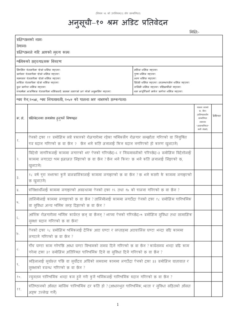 2107402390-Labour Audit Annex Sample | PDF
