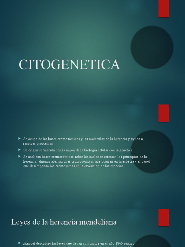 CITOGENETICA | PDF | Dominancia (Genética) | Cigosidad