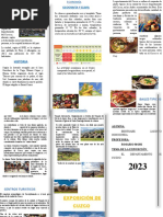 Triptico CUZCO | PDF