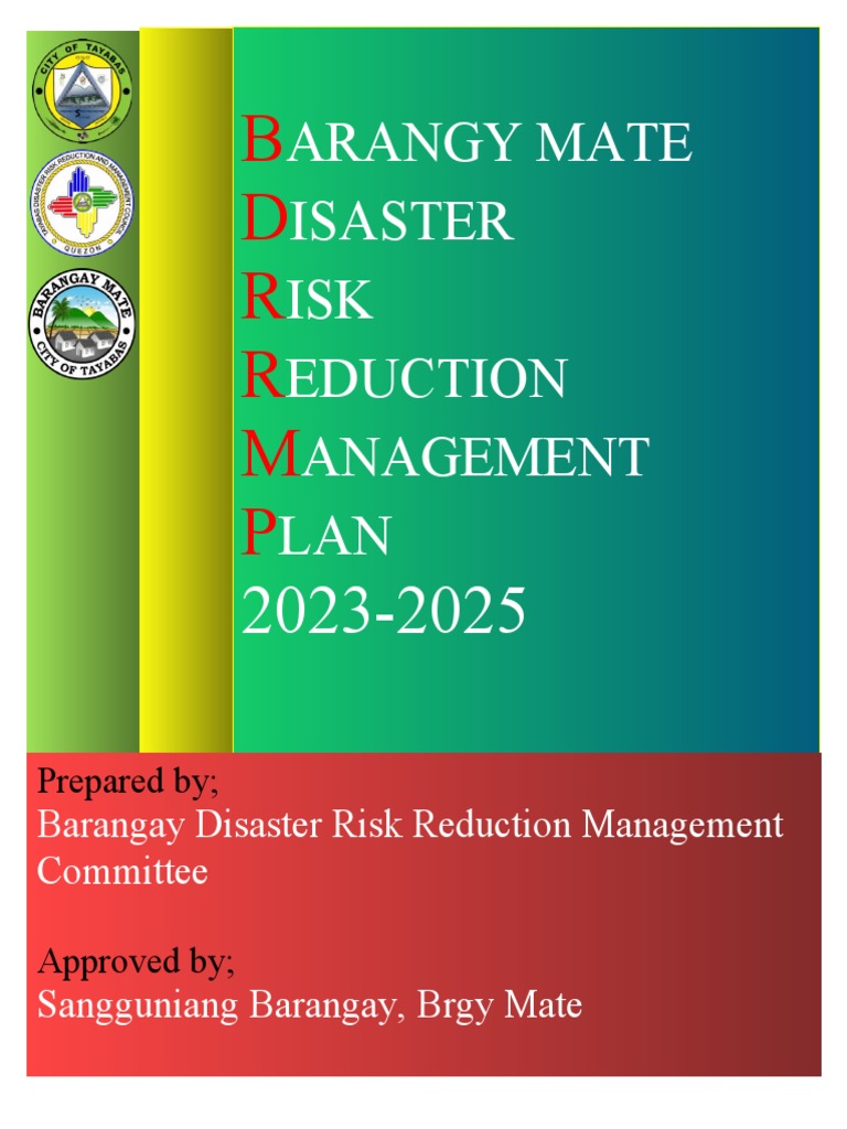 CBRRM Plan 23-25 | PDF