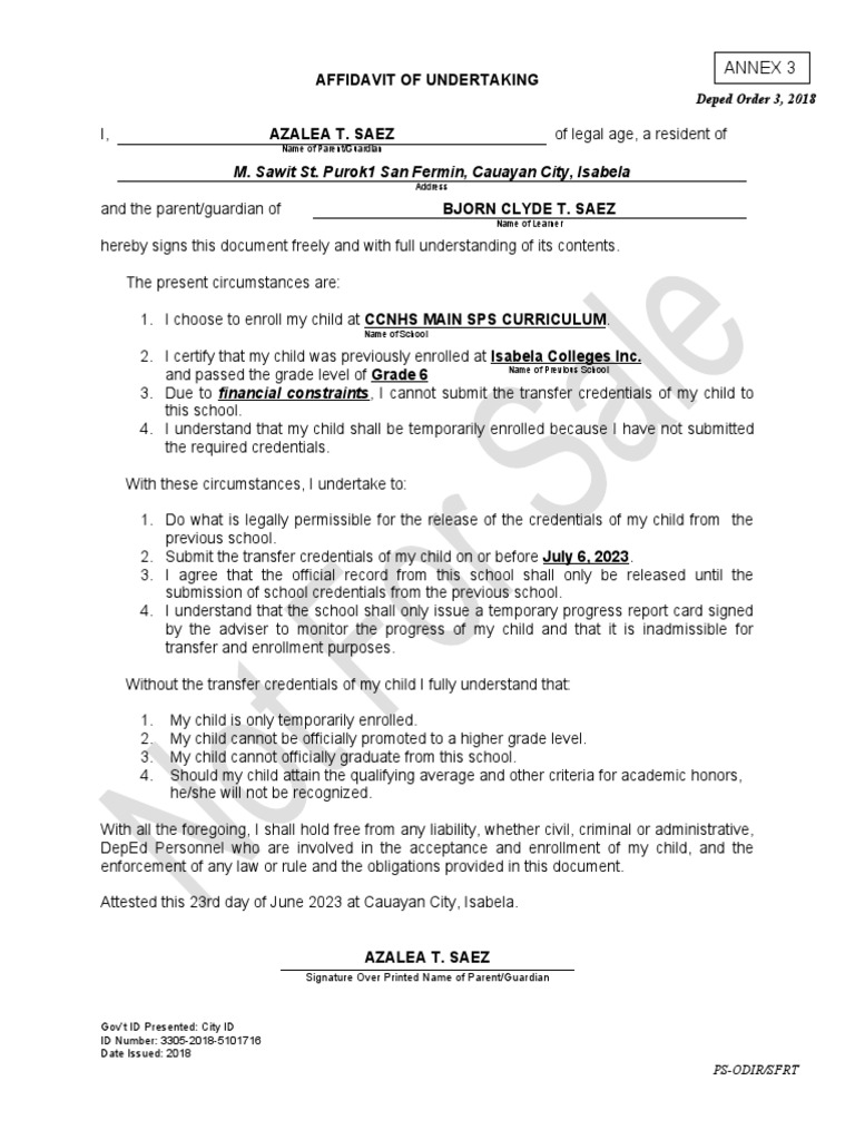 Annex 3 Affidavit of Undertaking DO 3 2018 (1) | PDF