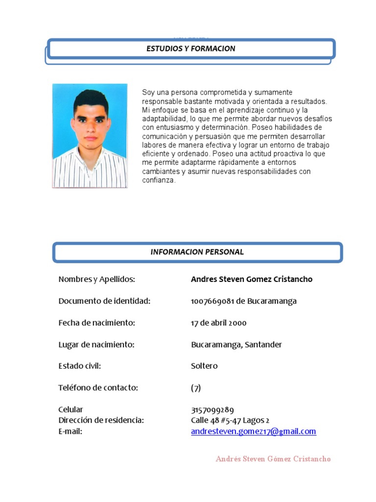 Hoja de Vida Andres | PDF