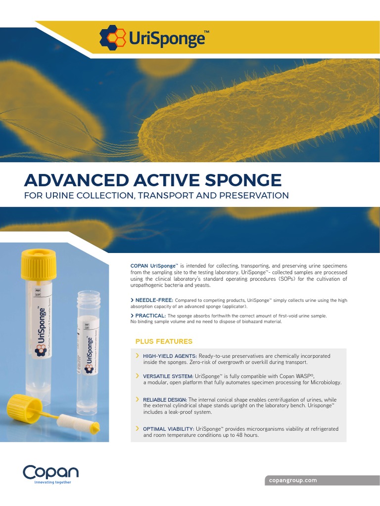 Brochure-UriSponge™ | PDF