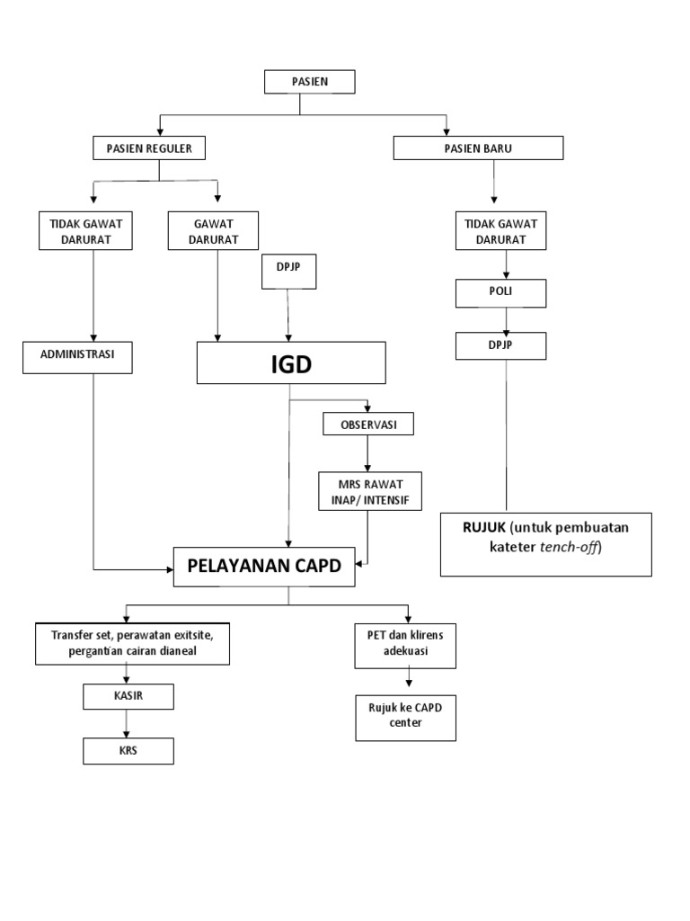 Alur Pelayanan Capd | PDF