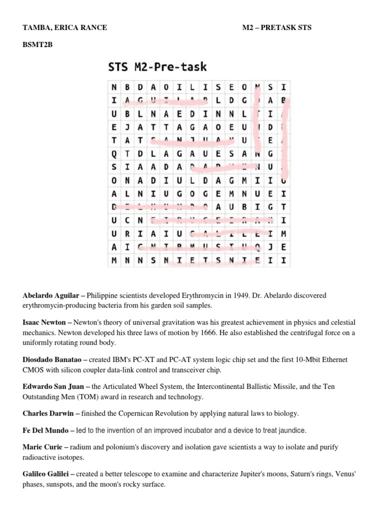 STS - M2 Pre Task | PDF