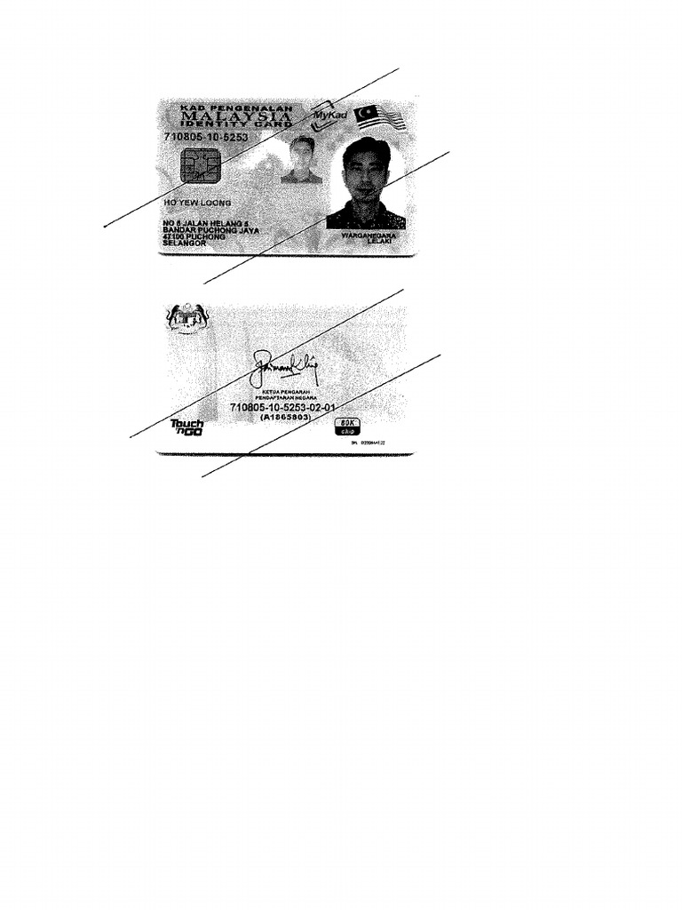 Identification Card | PDF