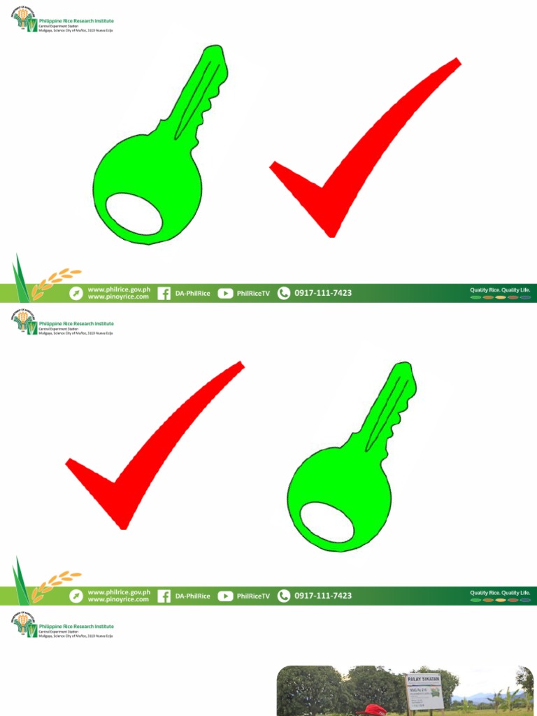 230317-3-Key Check 7 Final - JVPascual | PDF