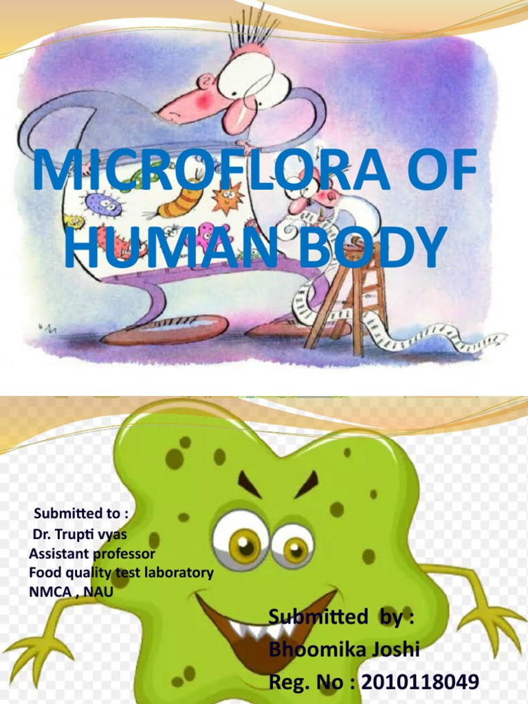 Normal Microflora of the Human Body | PDF | Skin | Respiratory Tract
