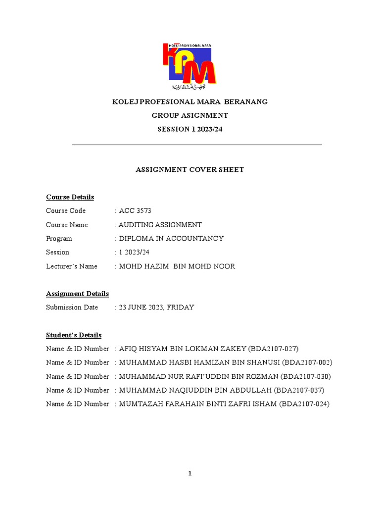 Audit Assignment | PDF