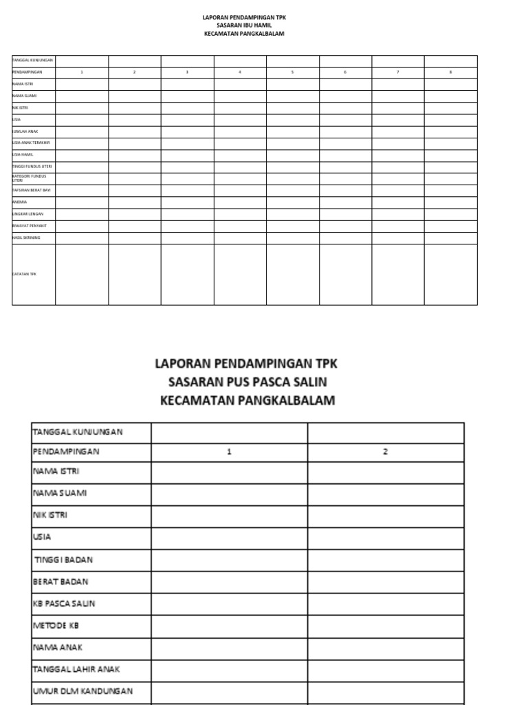 TPK Tim Pendamping Keluarga | PDF
