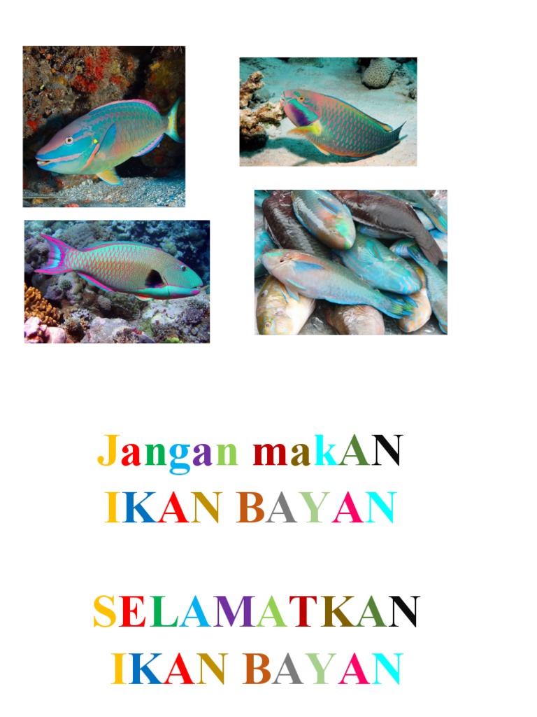 Ikan Bayan | PDF