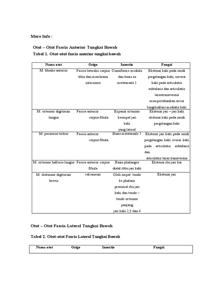 Panduan Tutor Kram Otot | PDF