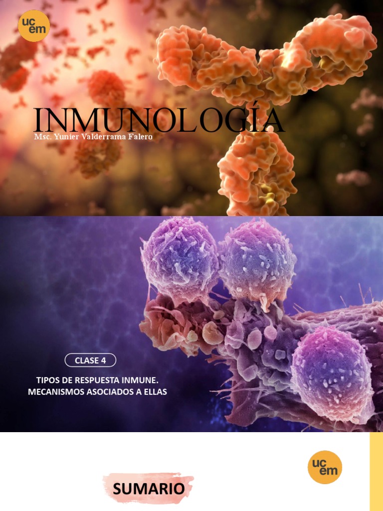 Inmunología. Clase 4. Tipos de Inmunidad y Procesos Asociados A Ella. | PDF | Sistema inmune ...