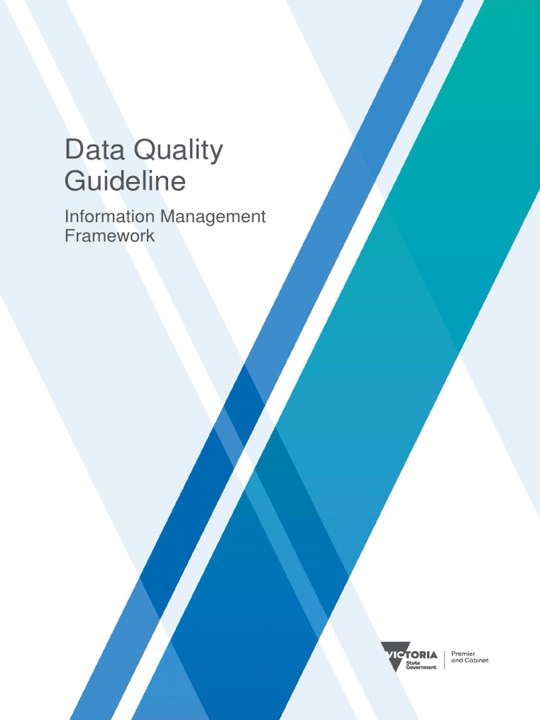 IM GUIDE 09 Data Quality Guideline | PDF