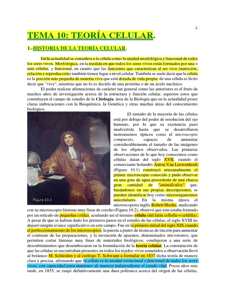 Teoria Celular | PDF | Eucariotas | Biología Celular)