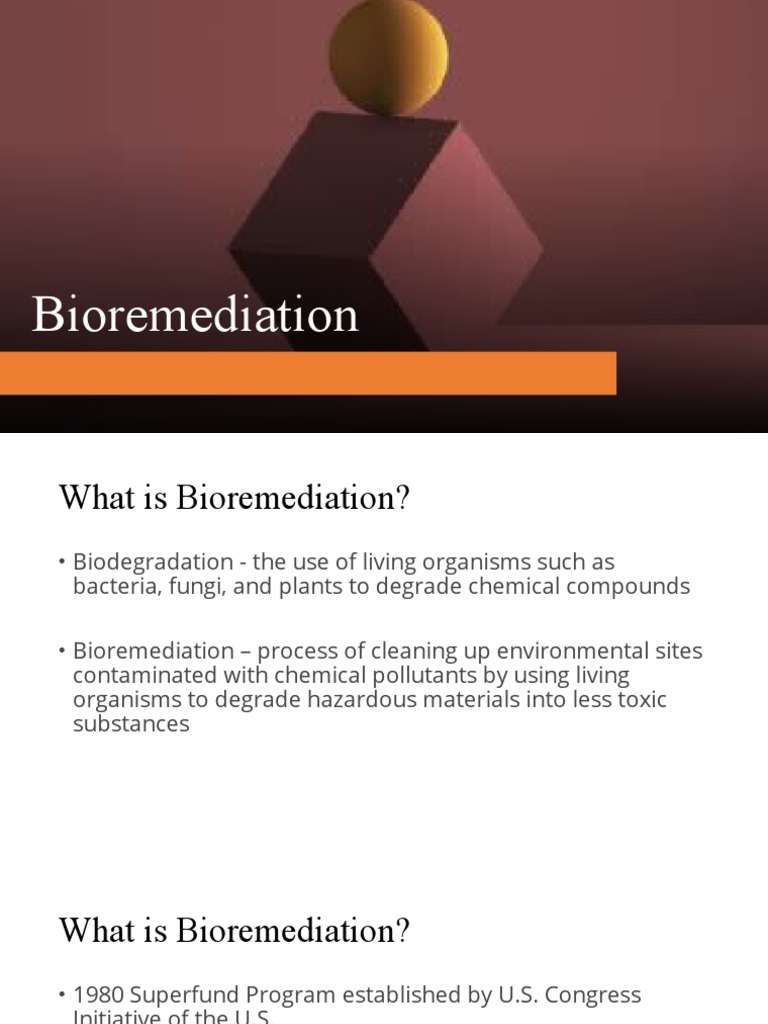 Bioremediation | PDF | Pollution | Materials