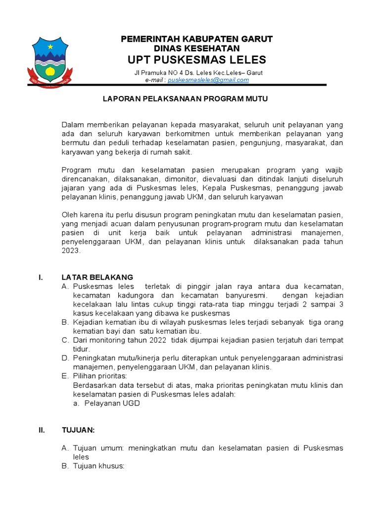 PROGRAM PENINGKATAN MUTU PUSKESMAS TAHUN 2023 benar | PDF