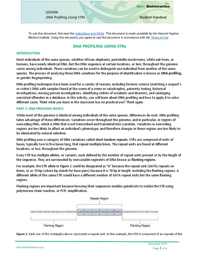 DNA Profiling Student Handout | PDF | Microsatellite | Dna Profiling