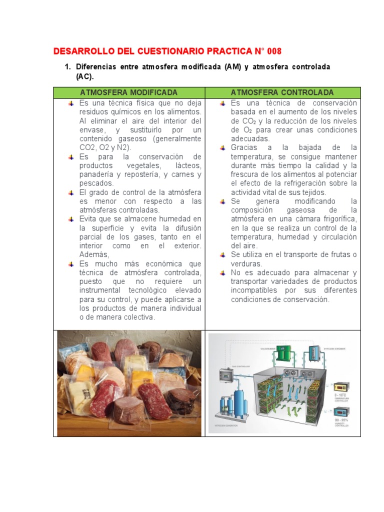 P N°008 ALMACENAMIENTO DE FRUTAS Y HORTALIZAS EN ATMOSFERA MODIFICADA | PDF