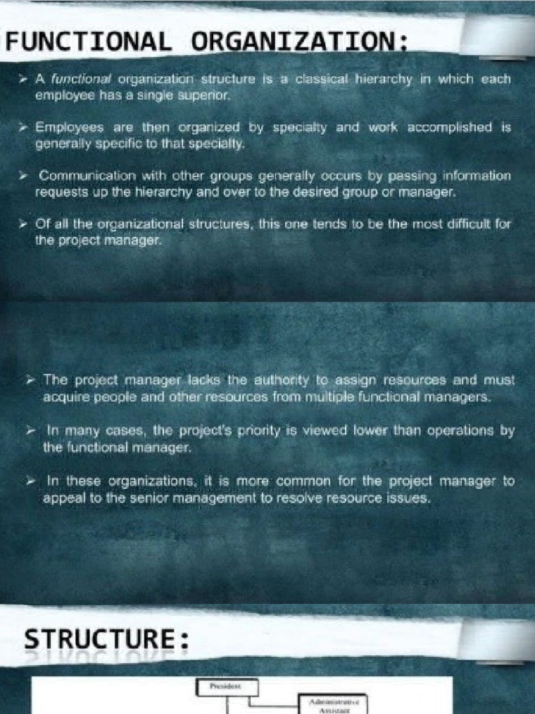 Matrix Organization | PDF