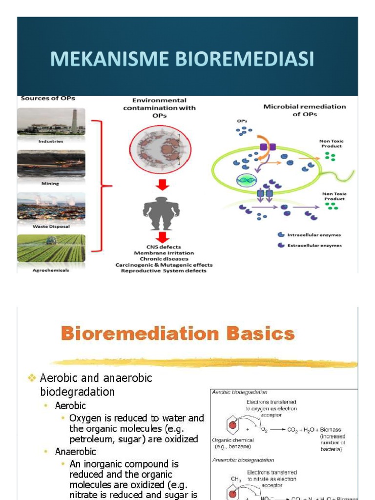 Mekanisme Bioremediasi | PDF