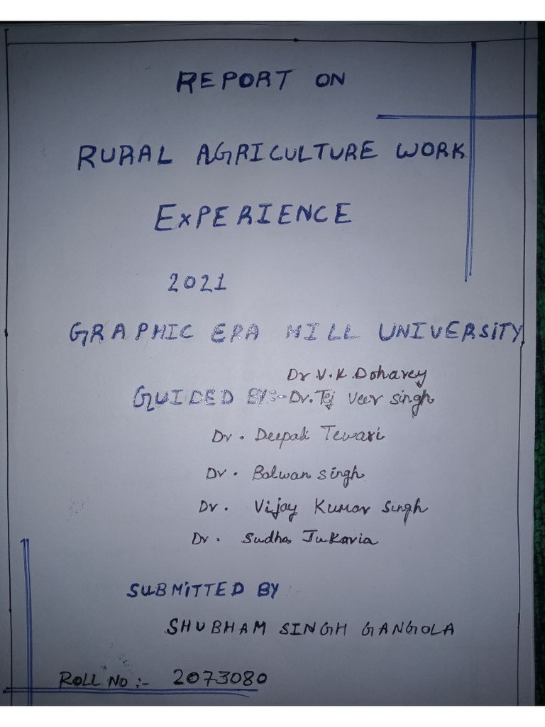 Final Report RAWE | PDF