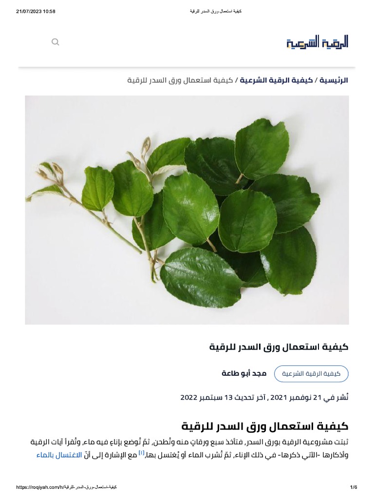 Encrypted Document Analysis | PDF