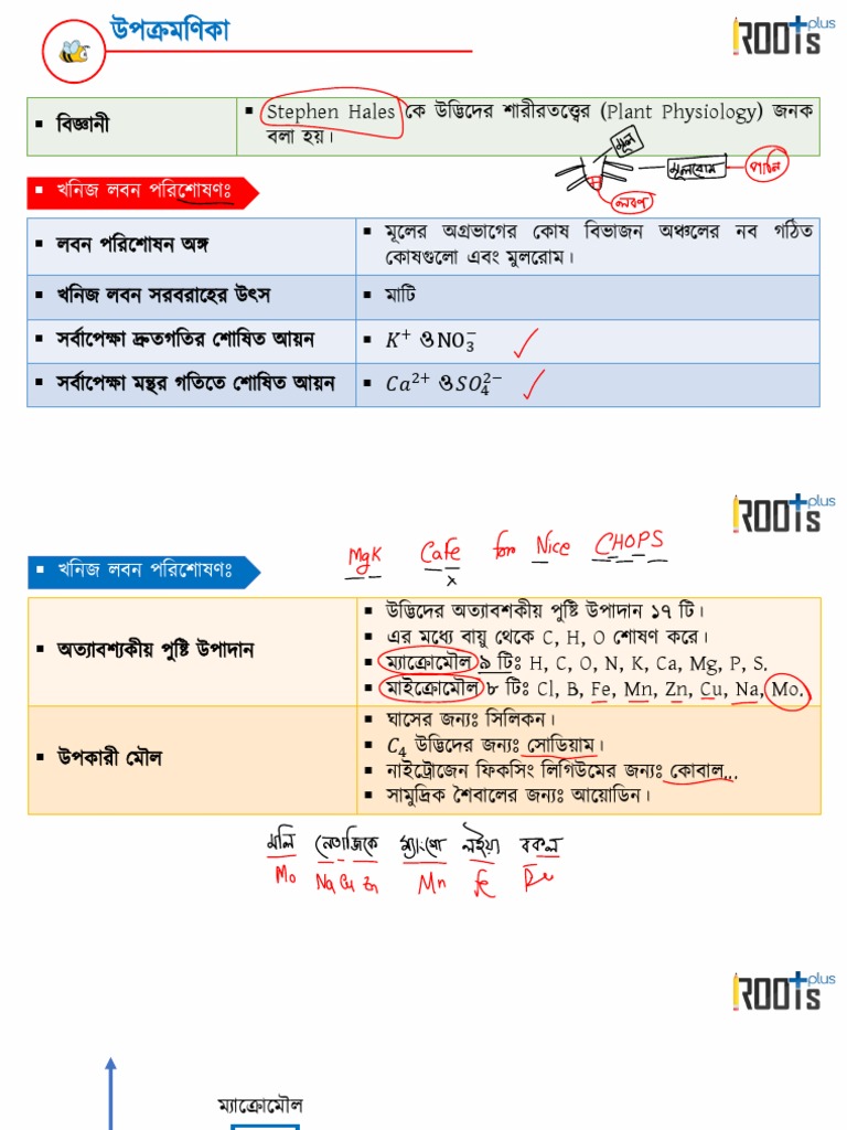 HSC Physics Chapter 7 Solution | PDF