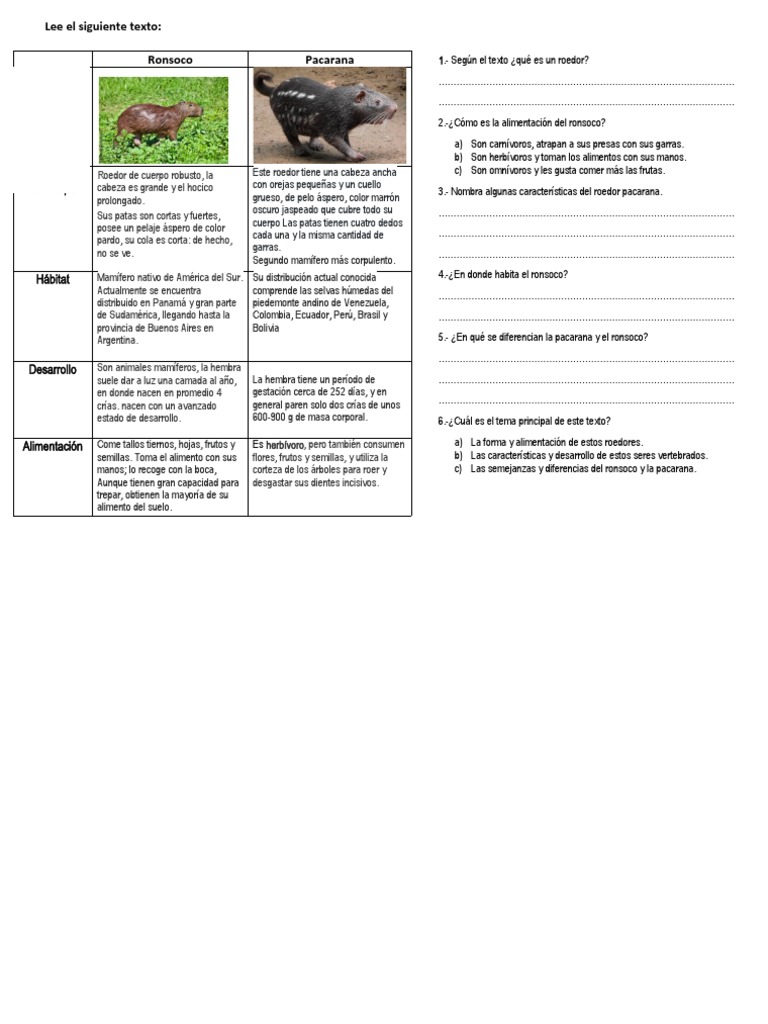 Características y alimentación del ronsoco | PDF | Roedor | América del Sur