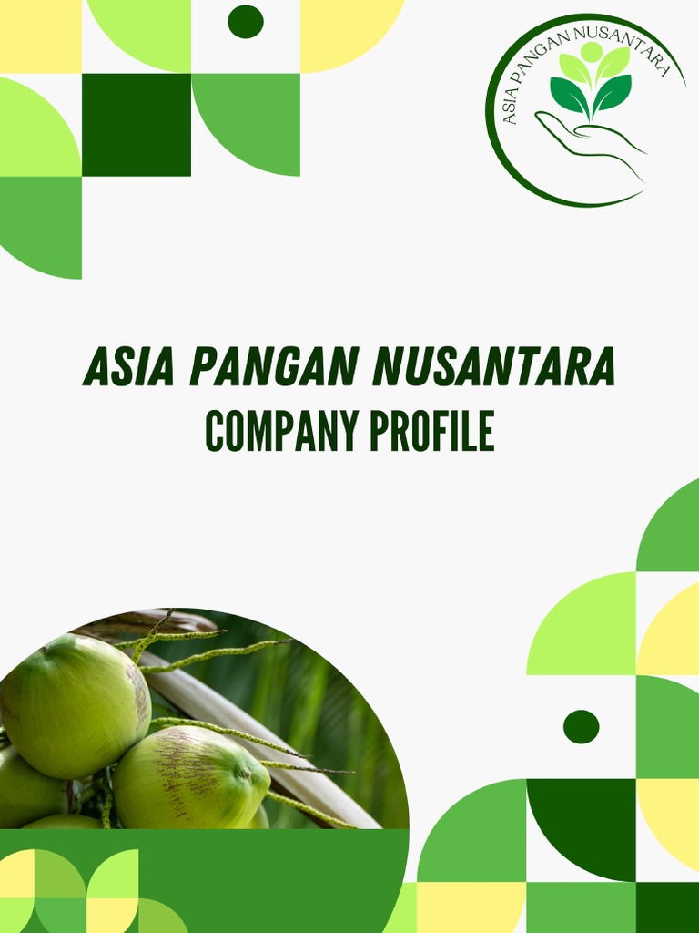 APN Company Profile | PDF