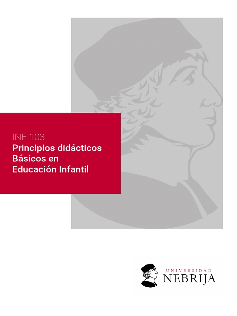 Principios Didacticos Basicos Educacion Infantil | Descargar gratis PDF | Evaluación | Educación ...