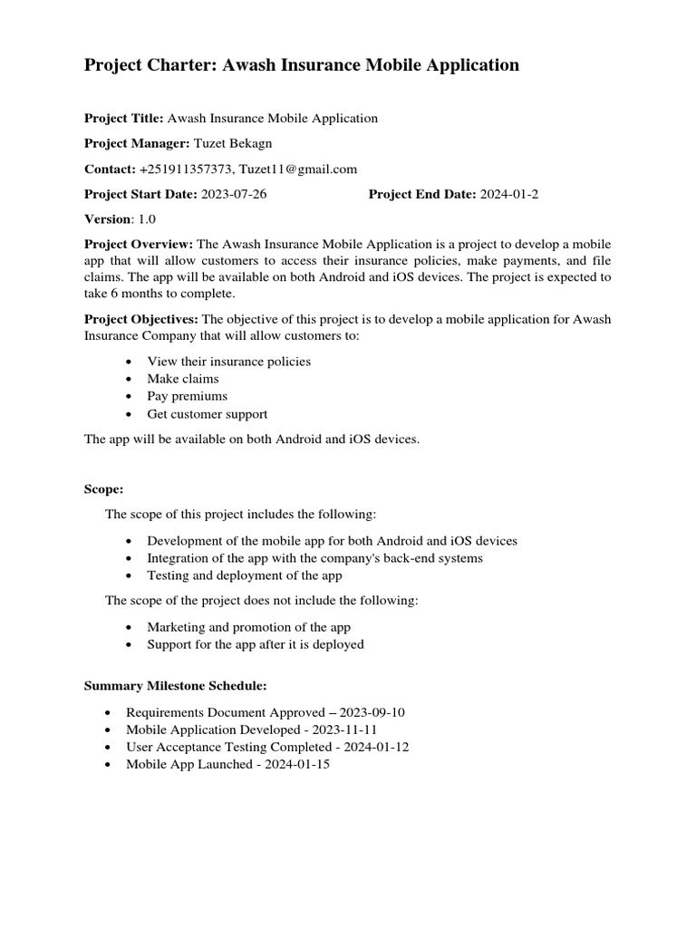 Project Charter (Assignment) | PDF