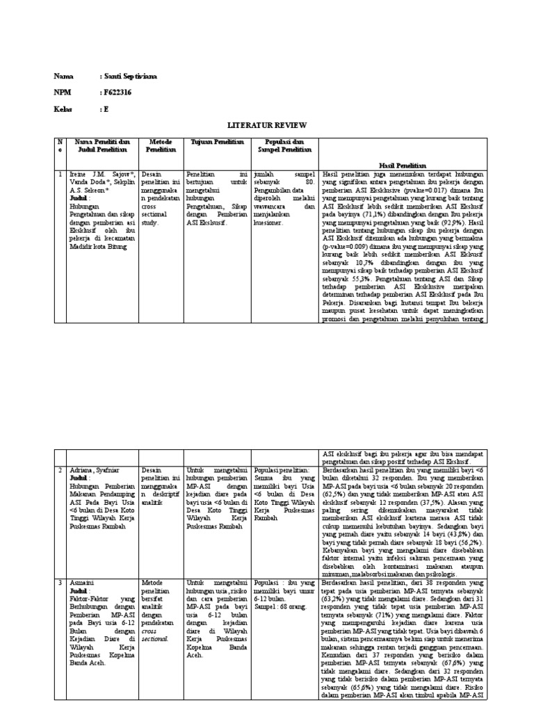 Contoh Literatur Review Skripsi | PDF