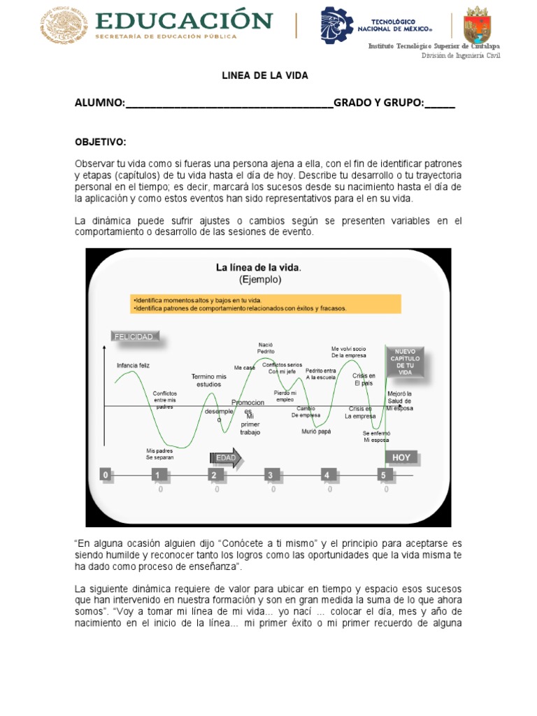 Linea de Vida | PDF