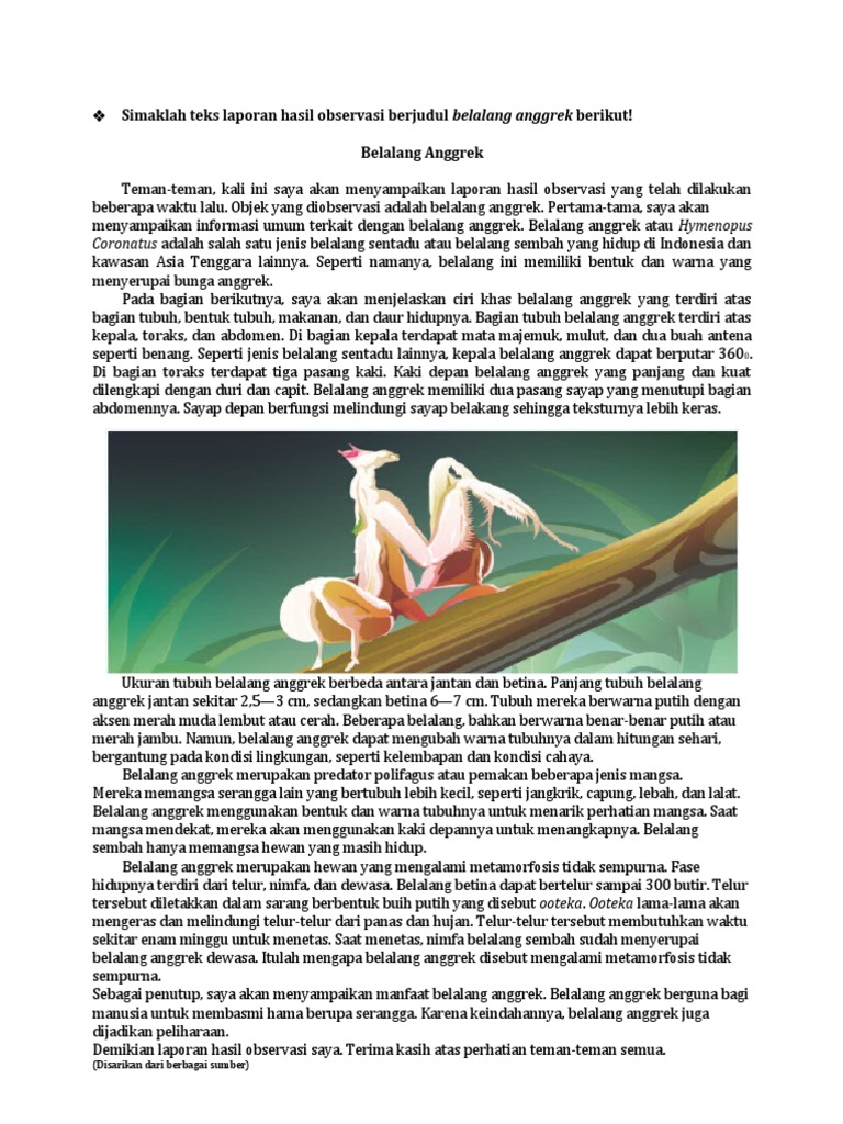 Tugas Menganalisis Dan Mengidentifikasi Struktur LHO | PDF