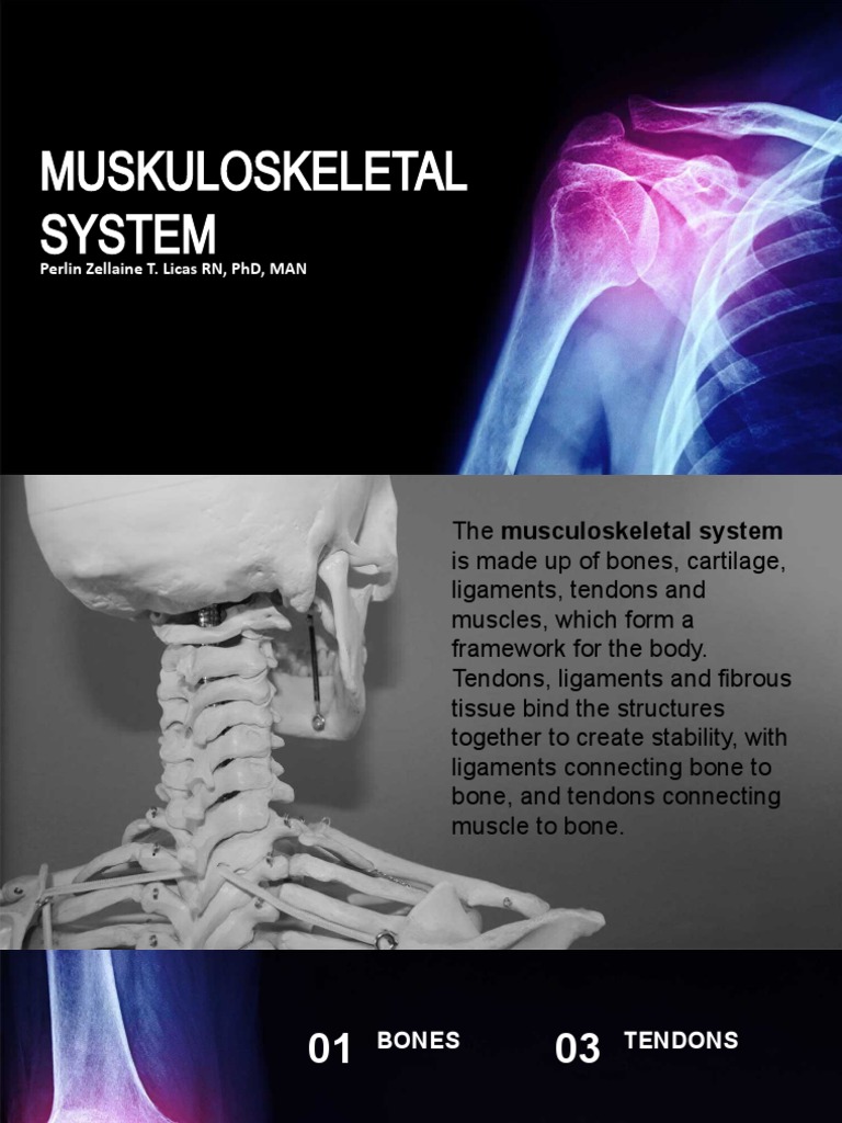 Muskuskeletal System | PDF | Human Musculoskeletal System | Bone